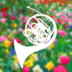 New Horizons Band